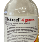 Naxcel (Rx use only) | Clear View Enterprises
